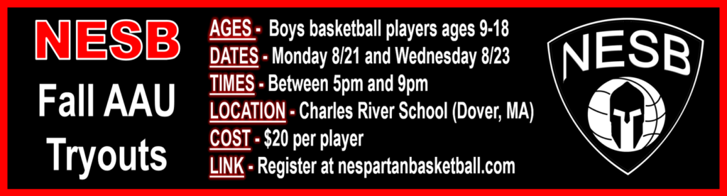 NESB Ad - HockomockSports.com