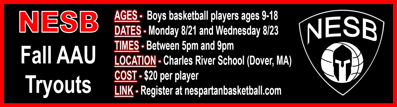 NESB Ad - HockomockSports.com