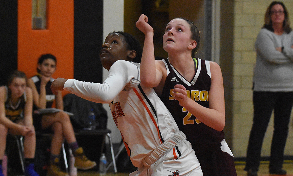 2019-2020 Hockomock Girls Basketball Preview