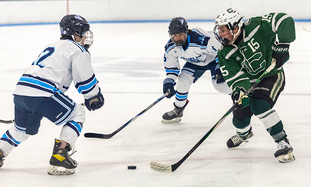 Bulldogs Use Early Barrage To Roll Past Panthers